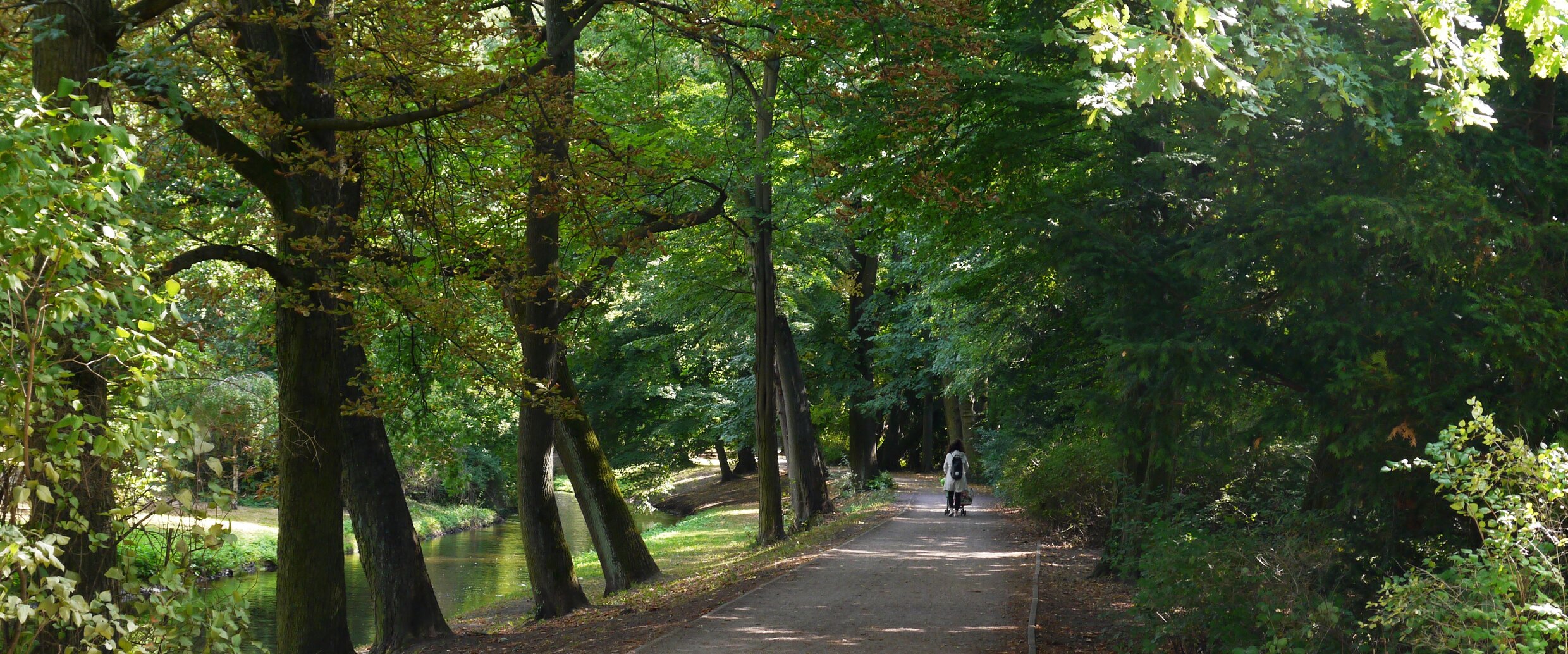 Bürgerpark Pankow | pankow-weissensee-prenzlauerberg.berlin